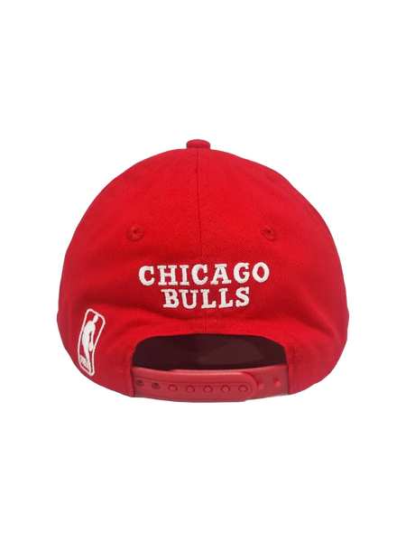 Youth NBA Essentials 6 Panel Snapback - Chicago Bulls – Hoops Heaven